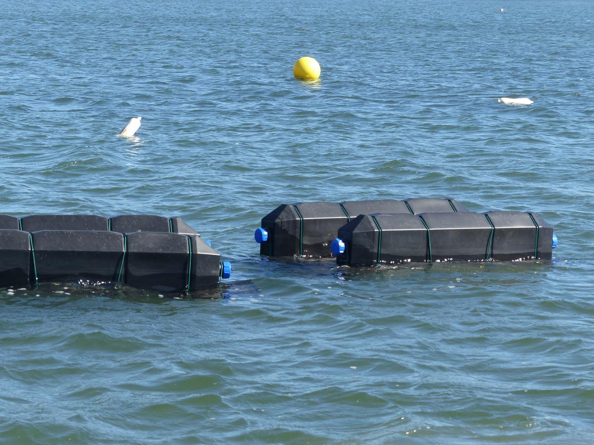 Conscience Point Shellfish – Southampton, New York