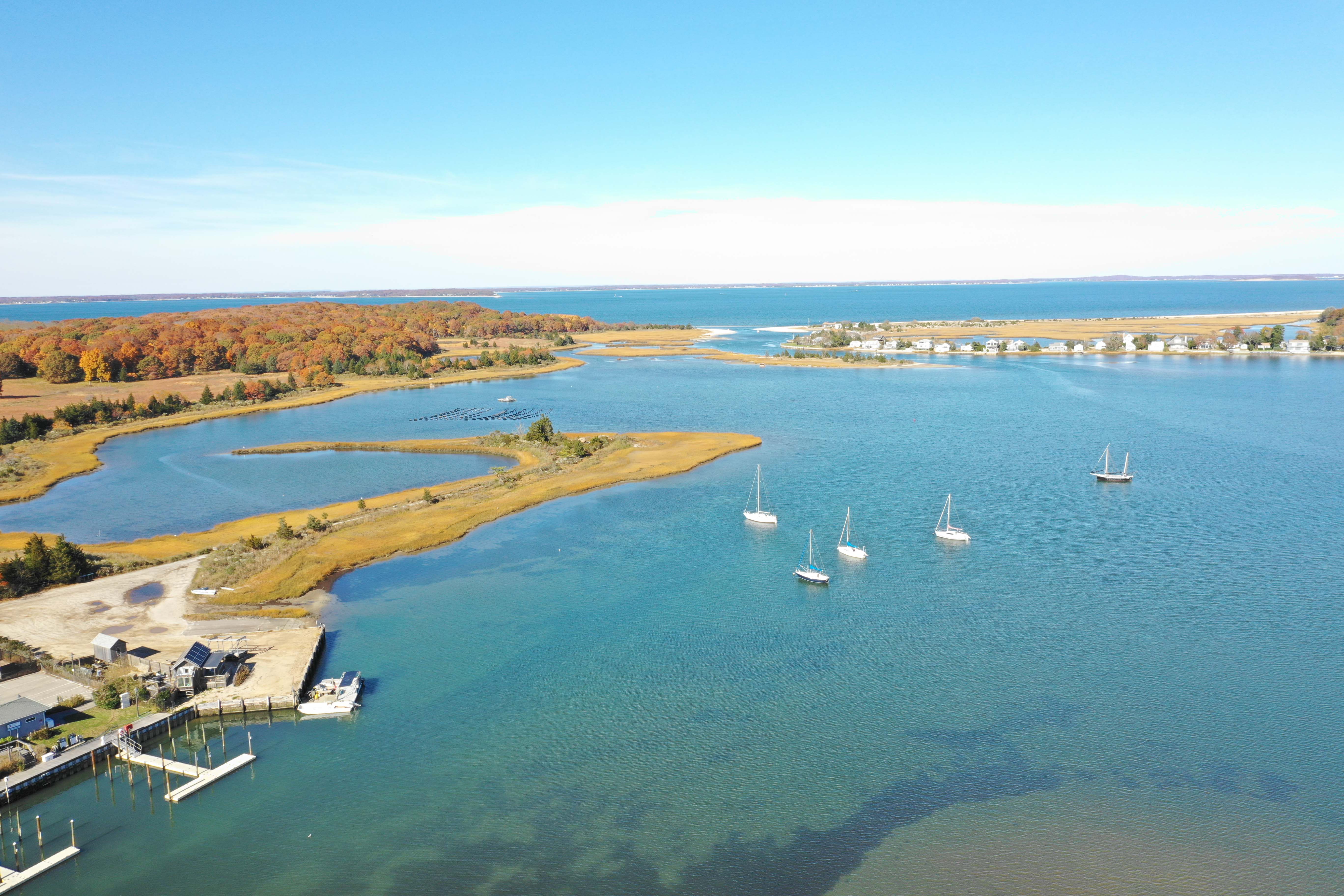 Conscience Point Shellfish – Southampton, New York