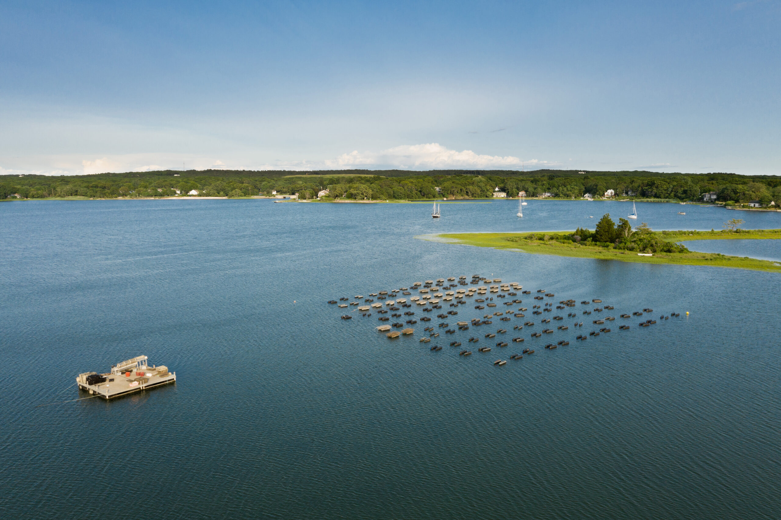 Conscience Point Shellfish – Southampton, New York
